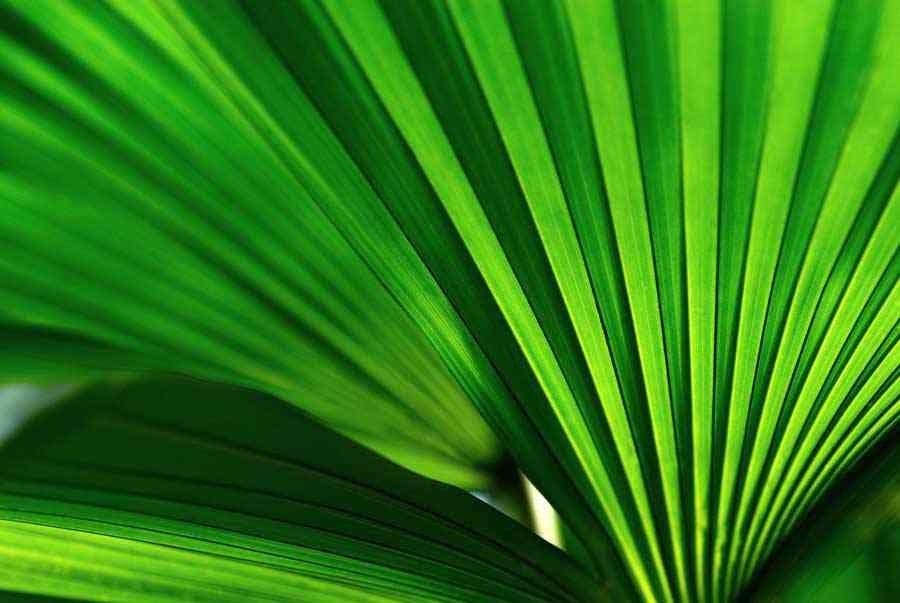 Market & Investment Notes: Making sense of China bond market defaults